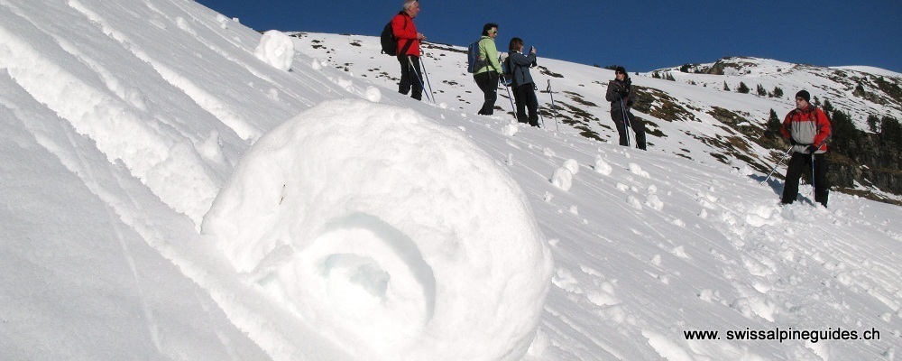 Lawinenenkurs Schweiz - swiss alpine guides